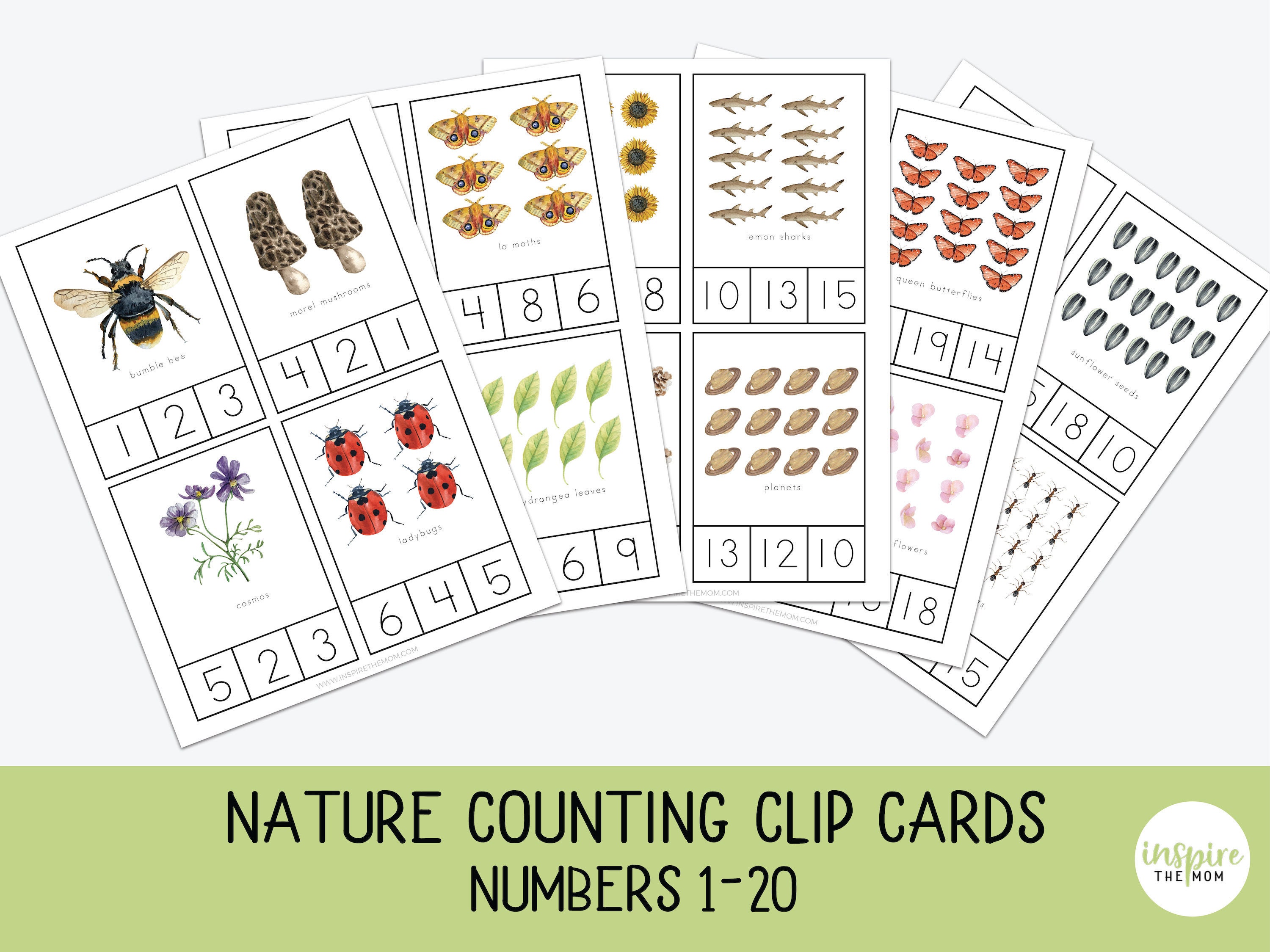 Preschool Nature Counting Clip Cards Numbers 1-20 Charlotte - Etsy