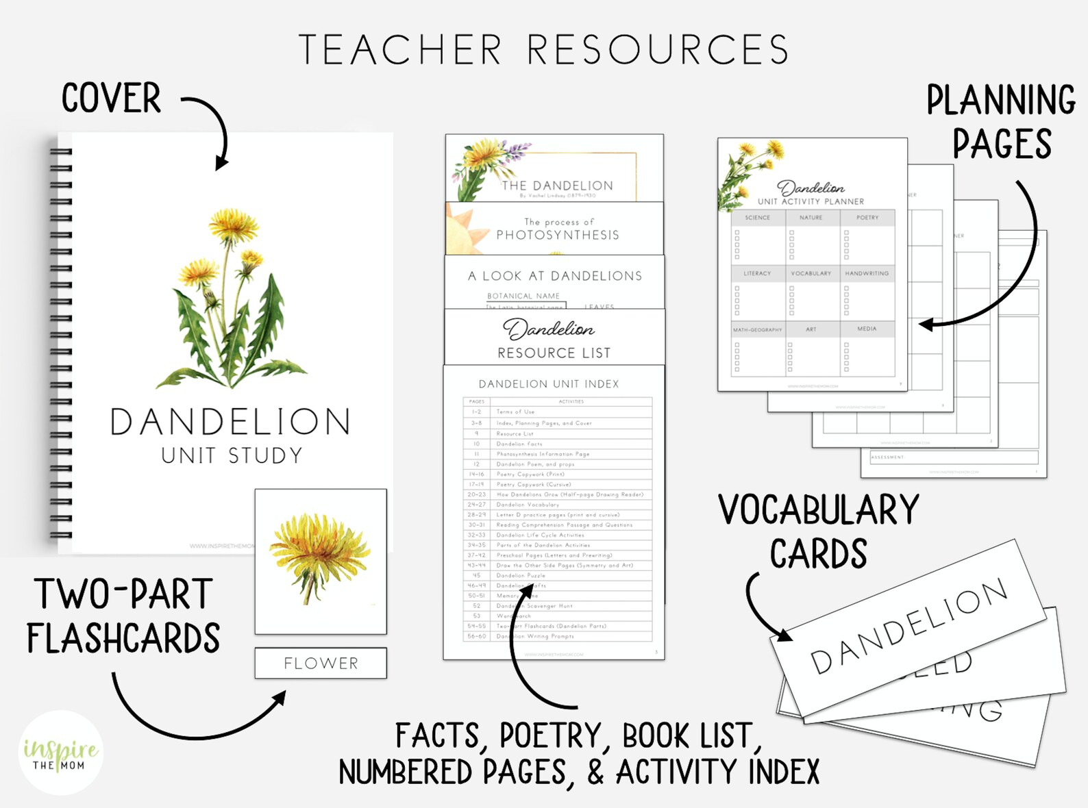 Dandelion Unit Study, Nature Study, Life Cycle, Prek 3rd Grade, Spring ...