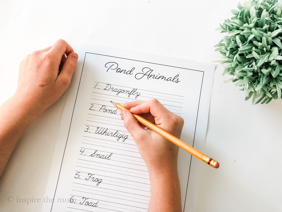 Pond Animals, Cursive Copywork, Pond Animal Facts, Cursive Handwriting ...