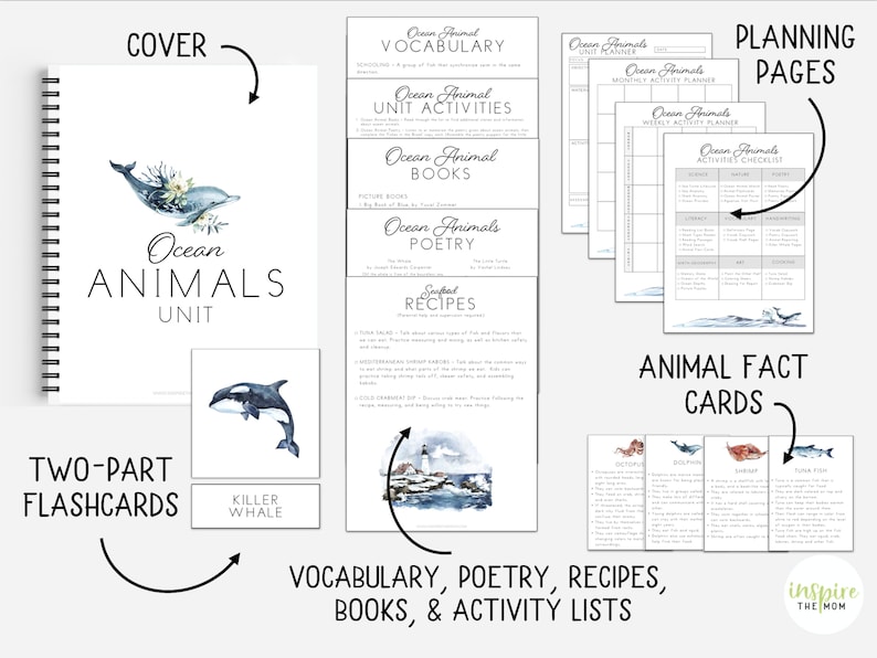 Ocean Animals Unit Study for Kids | Prek–2nd Science | Nature ...