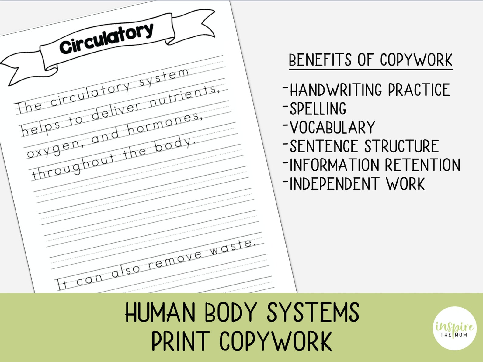 Human Body Systems, Print Copywork, Human Body Facts, Print Handwriting ...