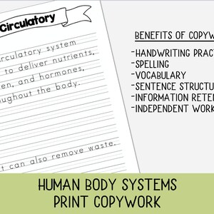 Human Body Systems, Print Copywork, Human Body Facts, Print Handwriting ...