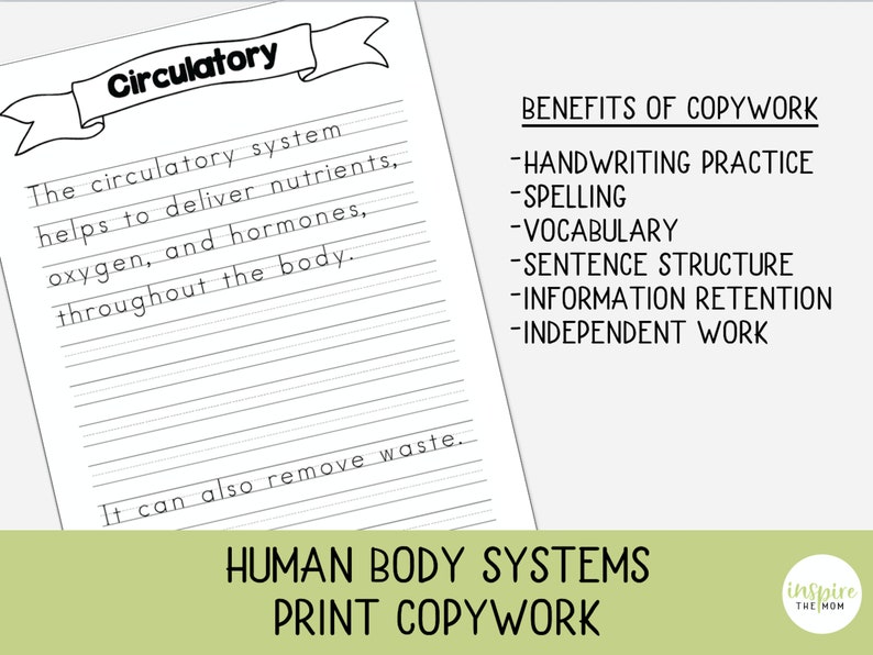 Human Body Systems, Print Copywork, Human Body Facts, Print Handwriting ...