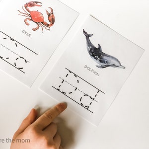 Ocean Animal Alphabet Tracing Cards, Handwriting Activity, Ocean ...
