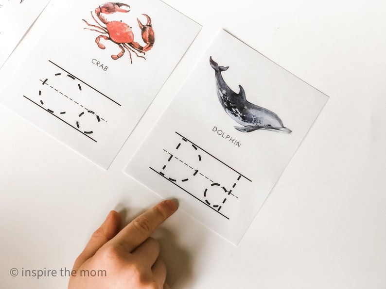Ocean Animal Alphabet Tracing Cards Handwriting Activity - Etsy