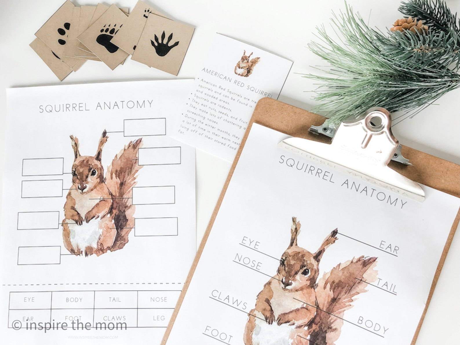 Winter Animals Unit Bundle, Nature Study, Math, Language Arts and ...
