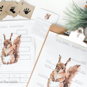 Winter Animals Unit Bundle, Nature Study, Math, Language Arts and ...
