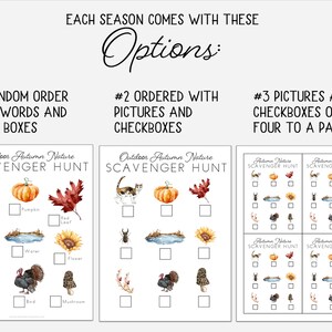 Seasons Nature Scavenger Hunts BUNDLE, for Prek-2nd Grade, Nature Study ...