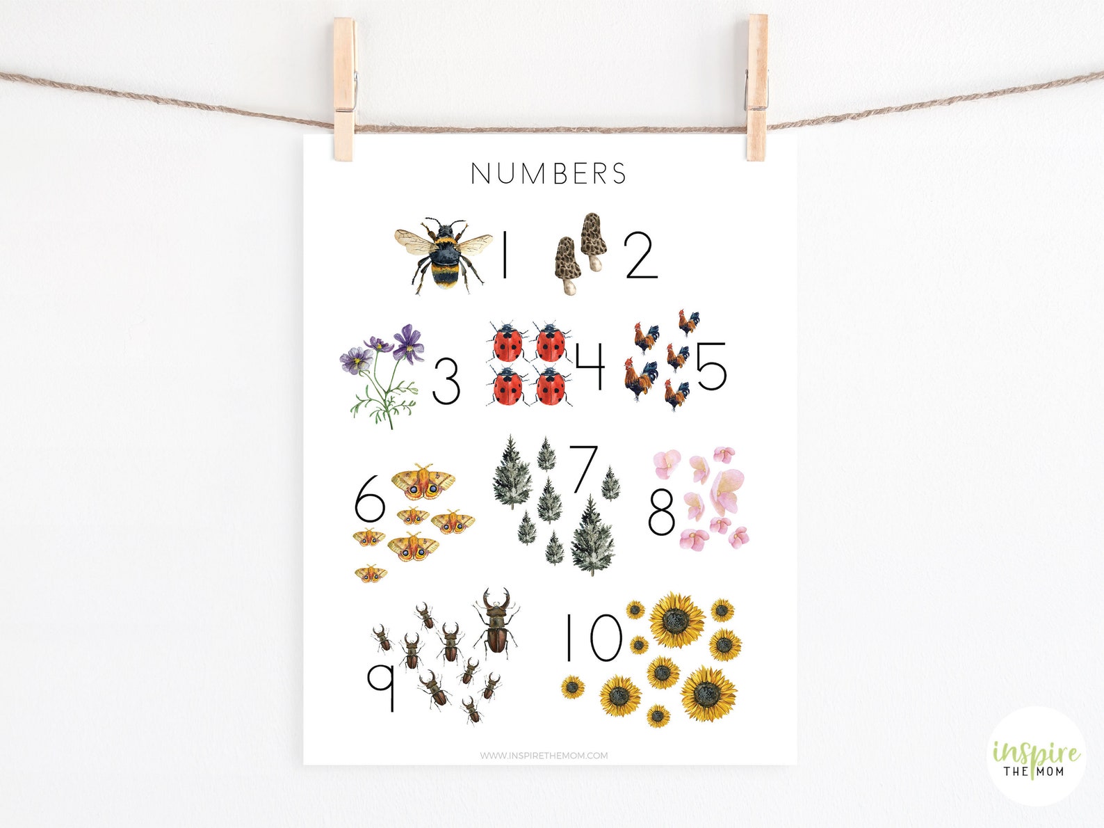 Nature Counting and Numbers Poster, Educational Print, Nursery Wall Art ...
