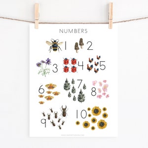 Nature Counting and Numbers Poster, Educational Print, Nursery Wall Art ...