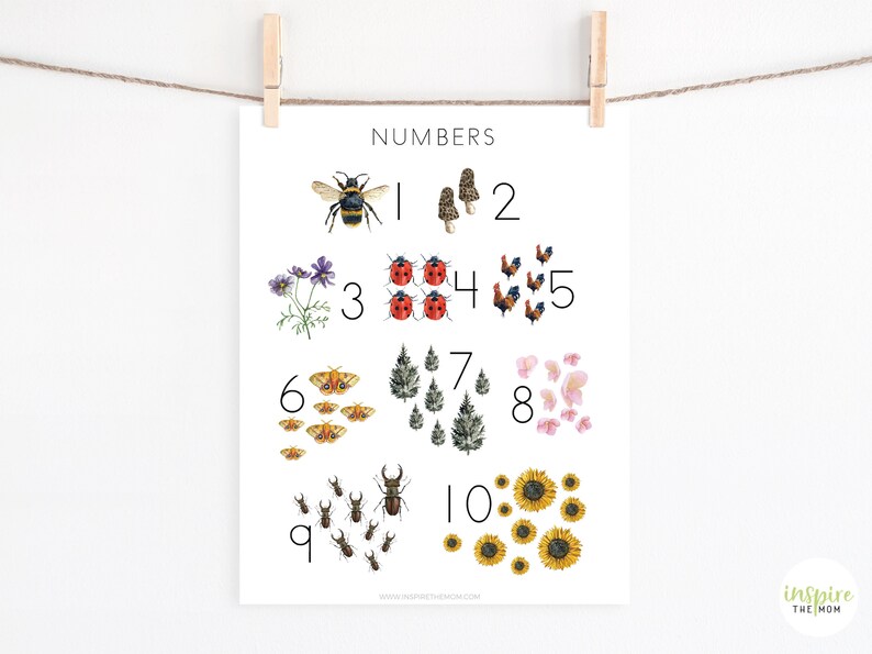 Nature Counting and Numbers Poster, Educational Print, Nursery Wall Art ...
