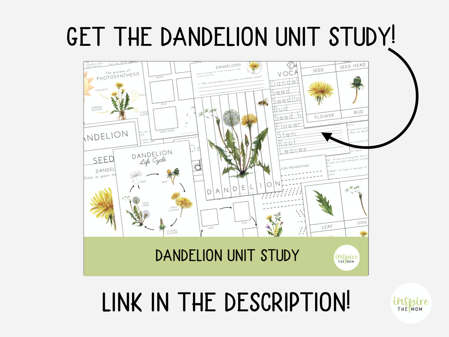 Dandelion Craft Template, Dandelion Wish, Preschool Craft, Montessori ...