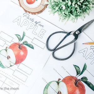 Apple Unit Study, Apple Activities, Prek - 2nd Grade, Fall Unit ...