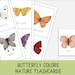 Butterfly Colors Flashcards, Nature Printable, Preschool Colors, Color ...