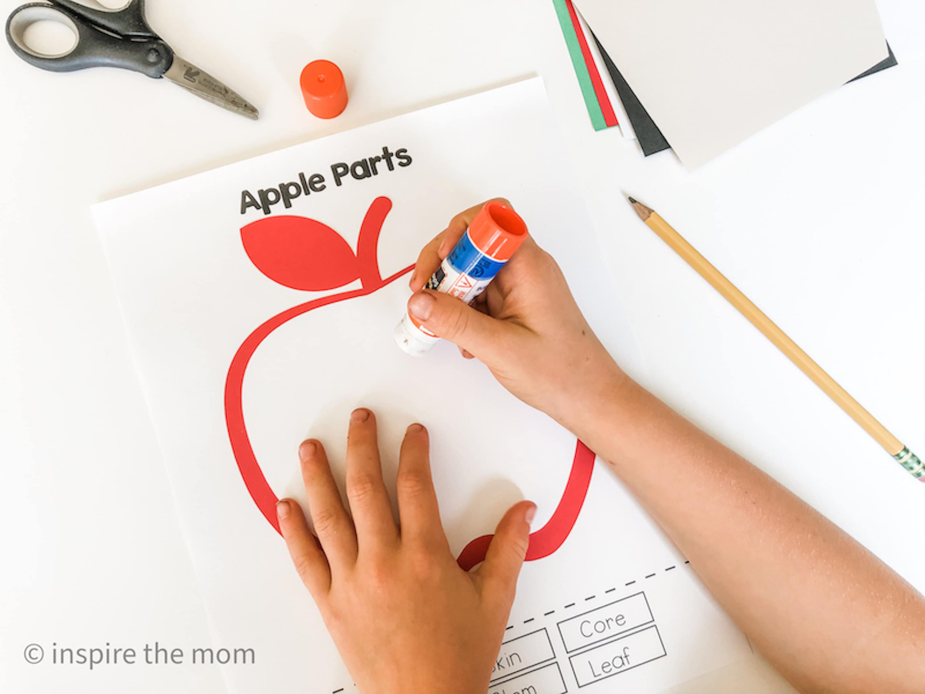 Parts of an Apple Craft, Apple Template, Apple Craft, Apple Activity ...