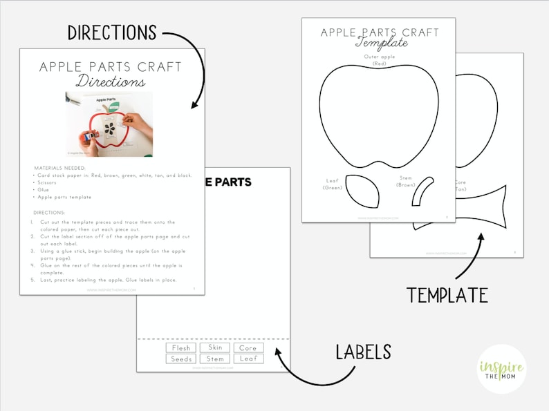 Parts of an Apple Craft, Apple Template, Apple Craft, Apple Activity ...