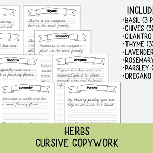 Herbs, Cursive Copywork, Herb Facts, Cursive Handwriting Practice ...
