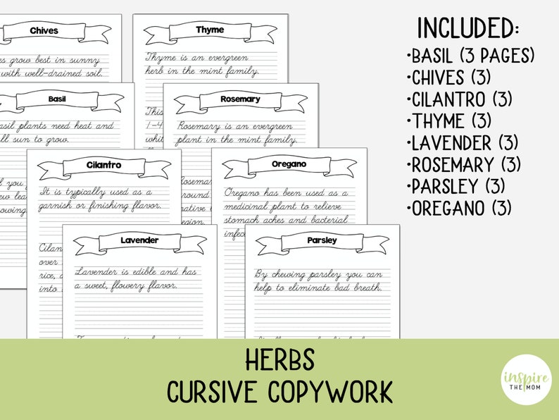 Herbs, Cursive Copywork, Herb Facts, Cursive Handwriting Practice ...