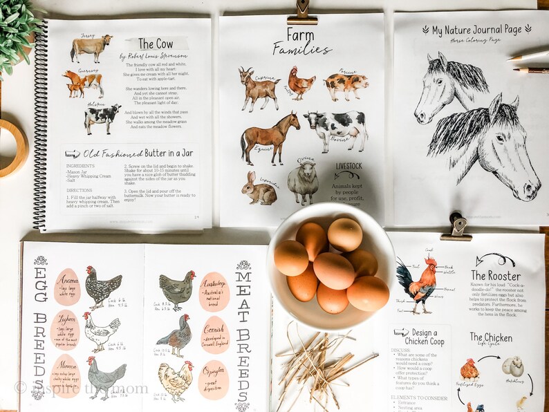 Spring Nature Journal for Kids, Nature Study, Science Curriculum ...