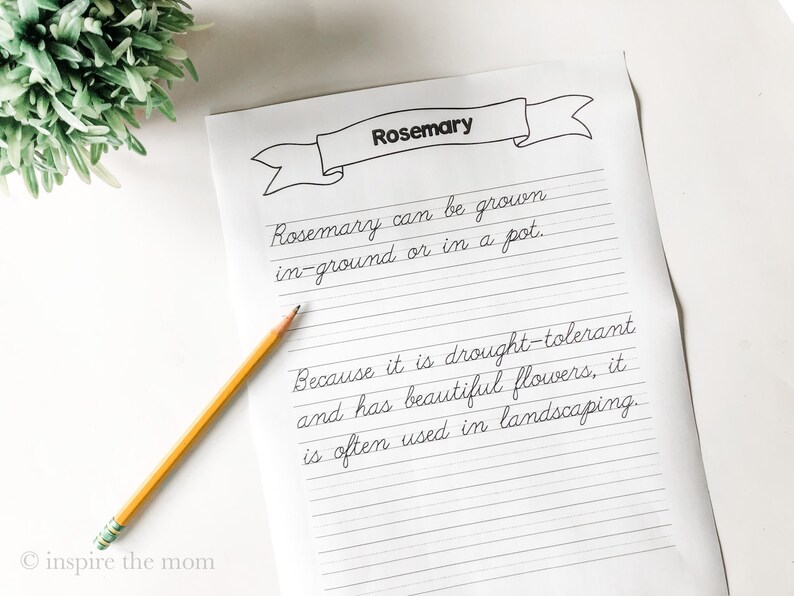 Herbs, Cursive Copywork, Herb Facts, Cursive Handwriting Practice ...
