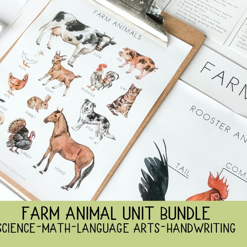 Farm Animal Unit BUNDLE Nature Study Math Language Arts - Etsy