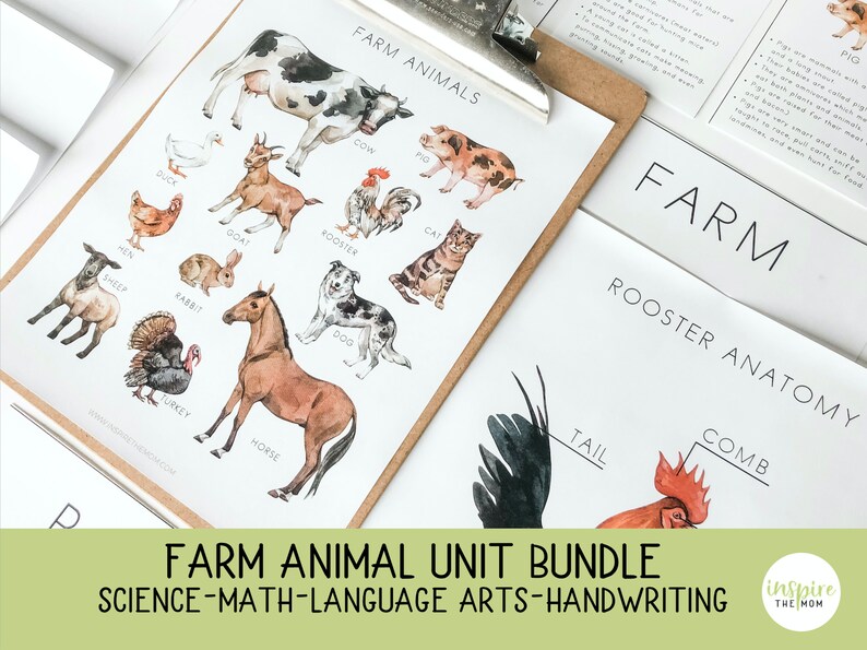 Farm Animal Unit BUNDLE Nature Study Math Language Arts - Etsy