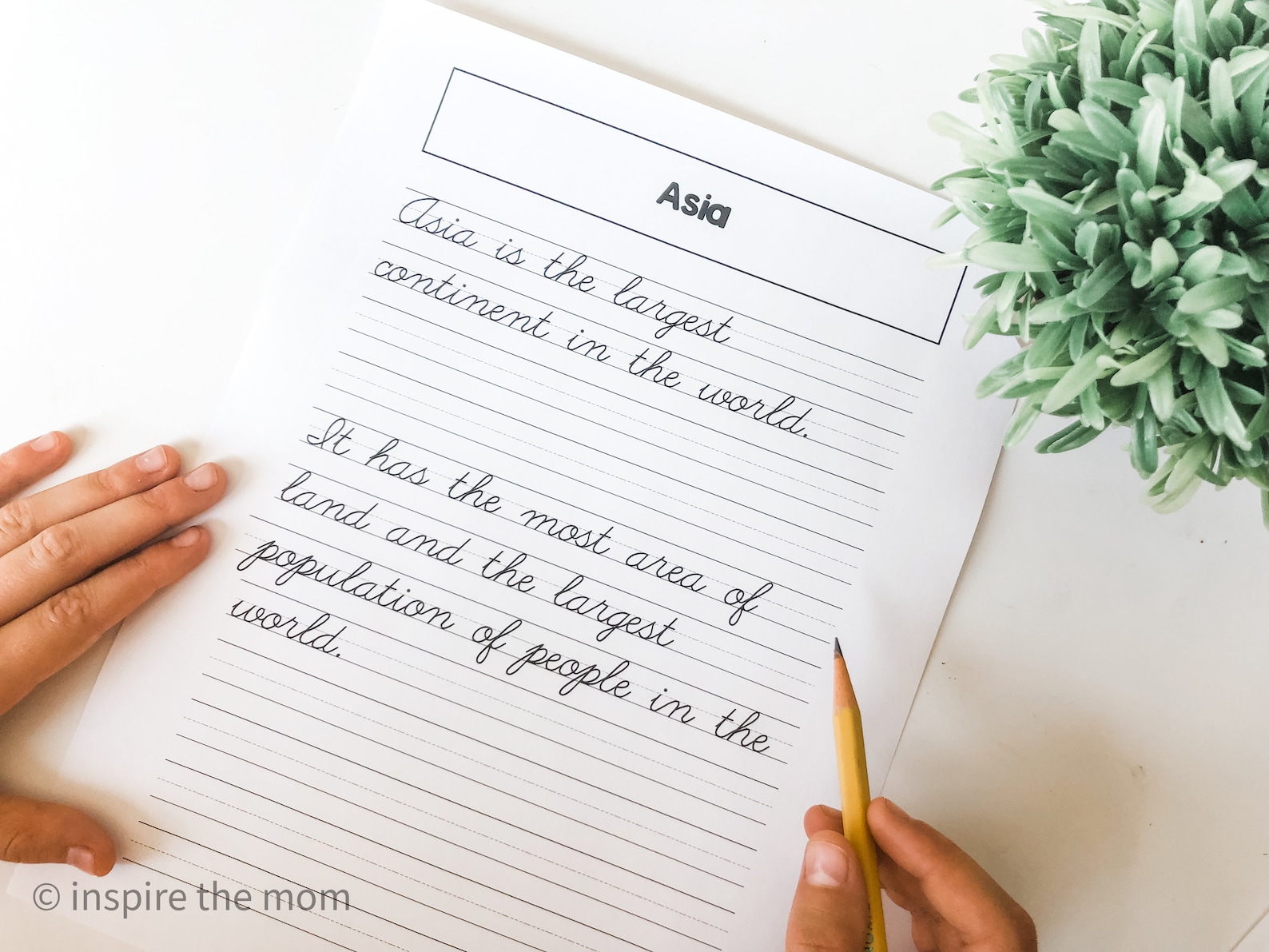 Continents of the World, Cursive Copywork, Continent Facts, Cursive ...