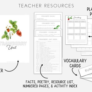 Strawberry Unit Study | Life Cycle | Poem Activities | Spring and ...