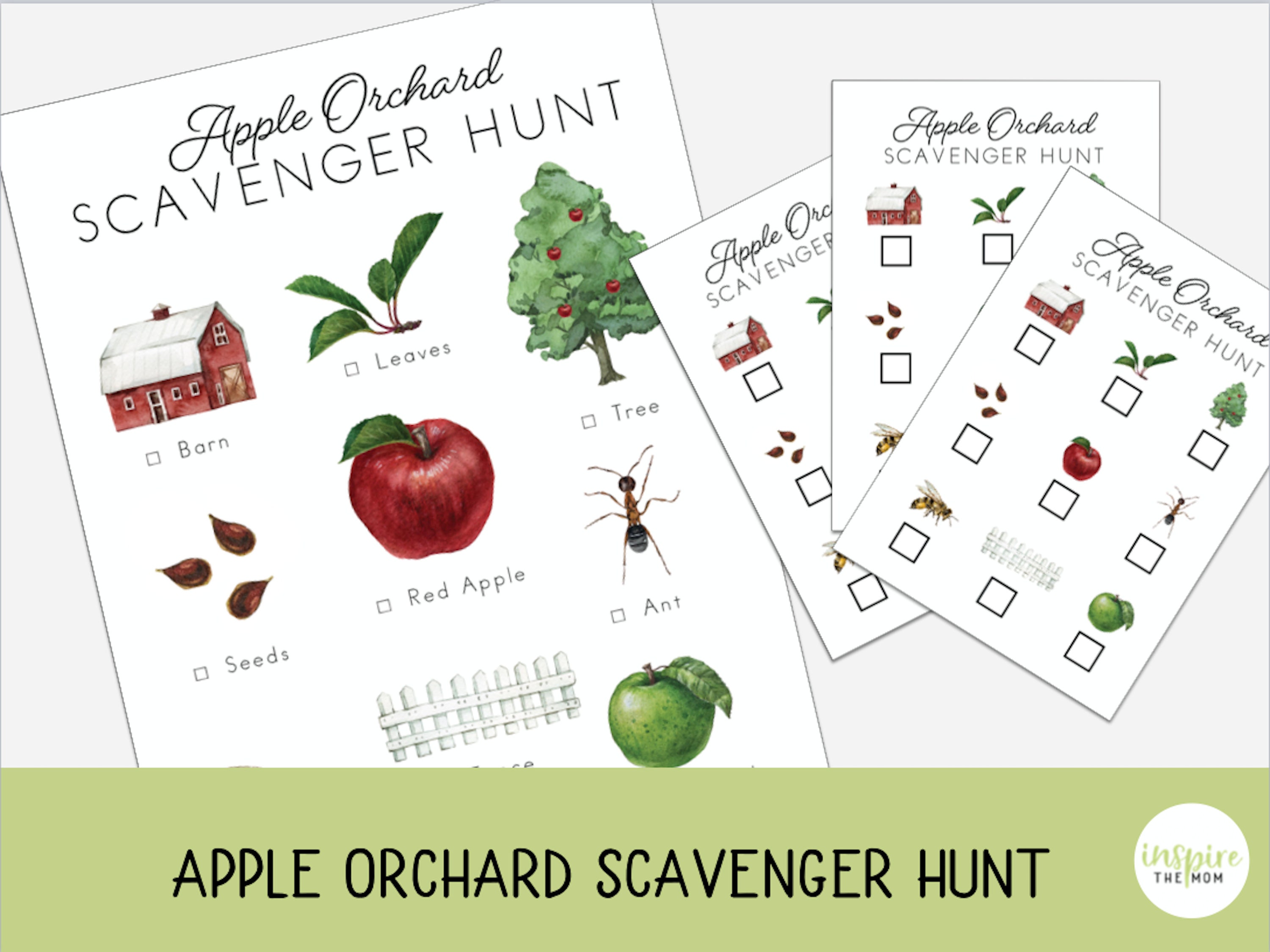 Apple Orchard Scavenger Hunt, for Prek-2nd Grade, Fall Activity ...