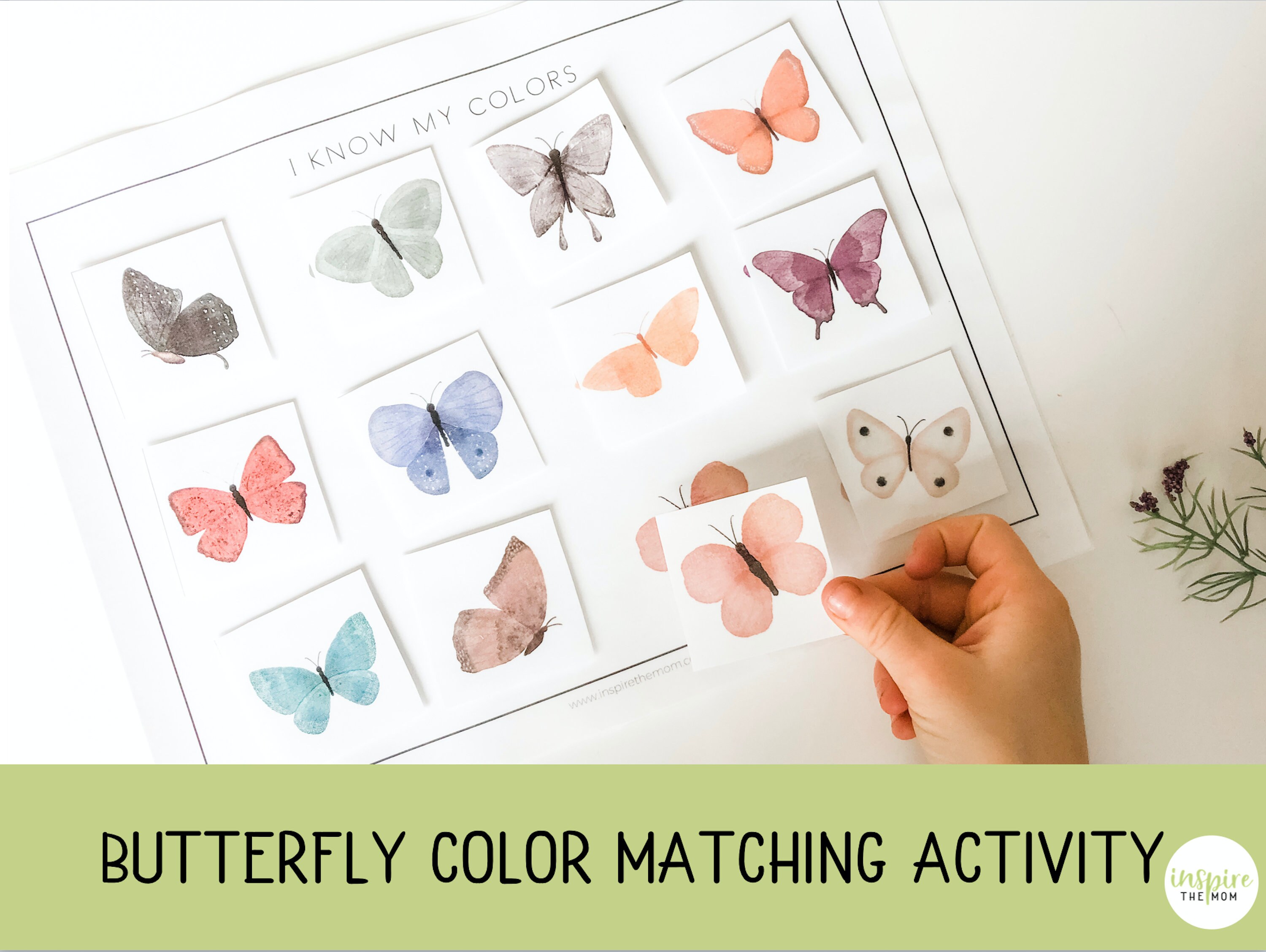 Butterfly Color Matching Activity, Preschool Activity, Preschool Colors ...