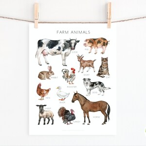 Farm Animals Nature Poster, Educational Poster, School Art, Charlotte ...