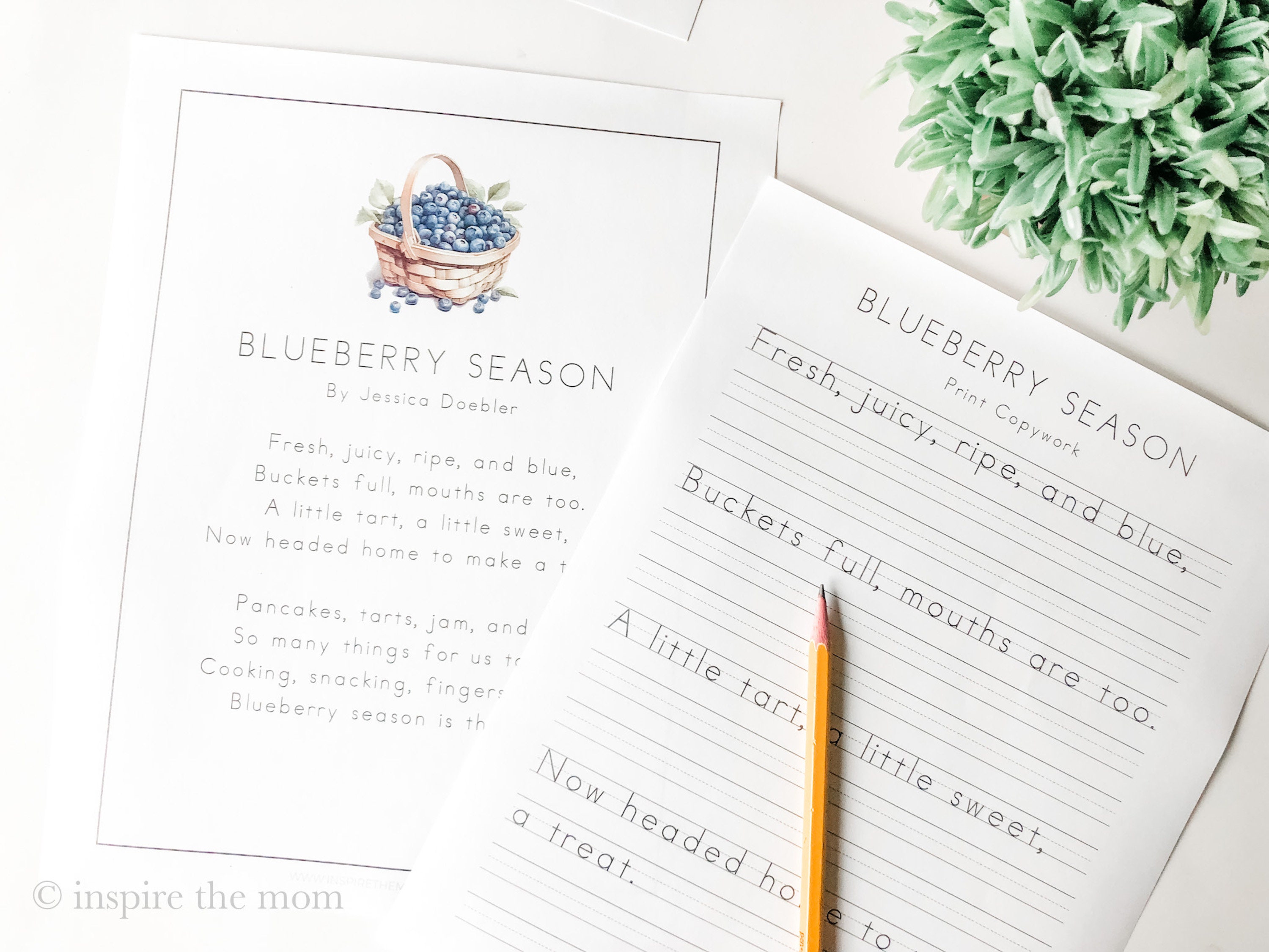 Blueberry Unit Study, Nature Study, Life Cycle, Prek 3rd Grade, Spring ...