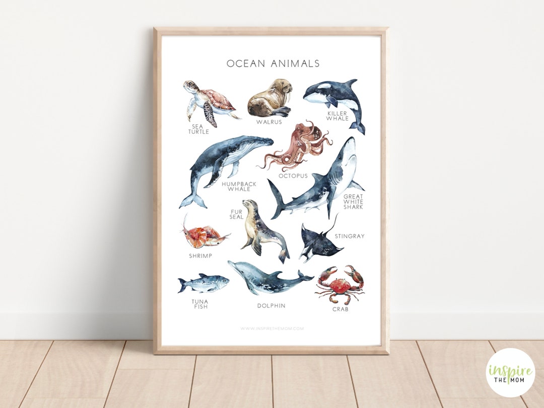 Ocean Animals Nature Poster, Educational Poster, Charlotte Mason ...