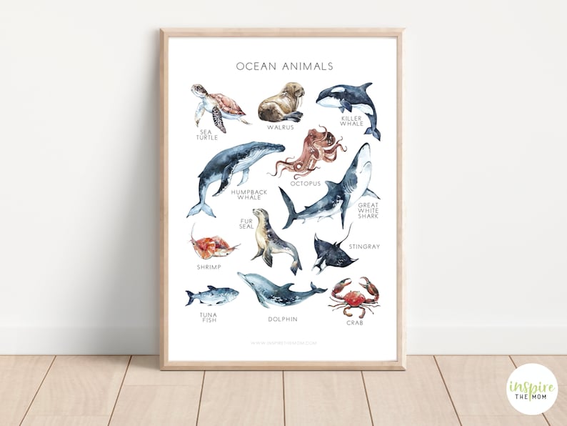 Ocean Animals Nature Poster, Educational Poster, Charlotte Mason ...
