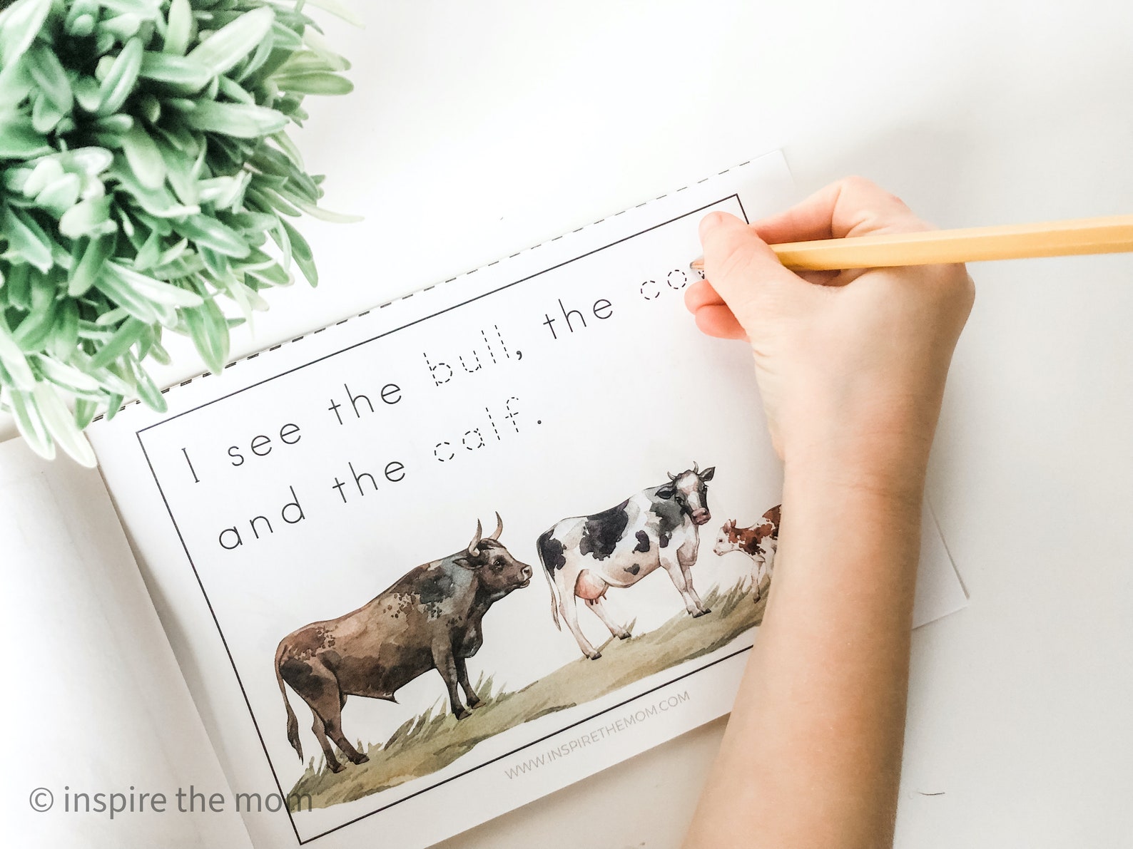 Farm Animals Unit Nature Study Prek-2nd Farm Activities - Etsy