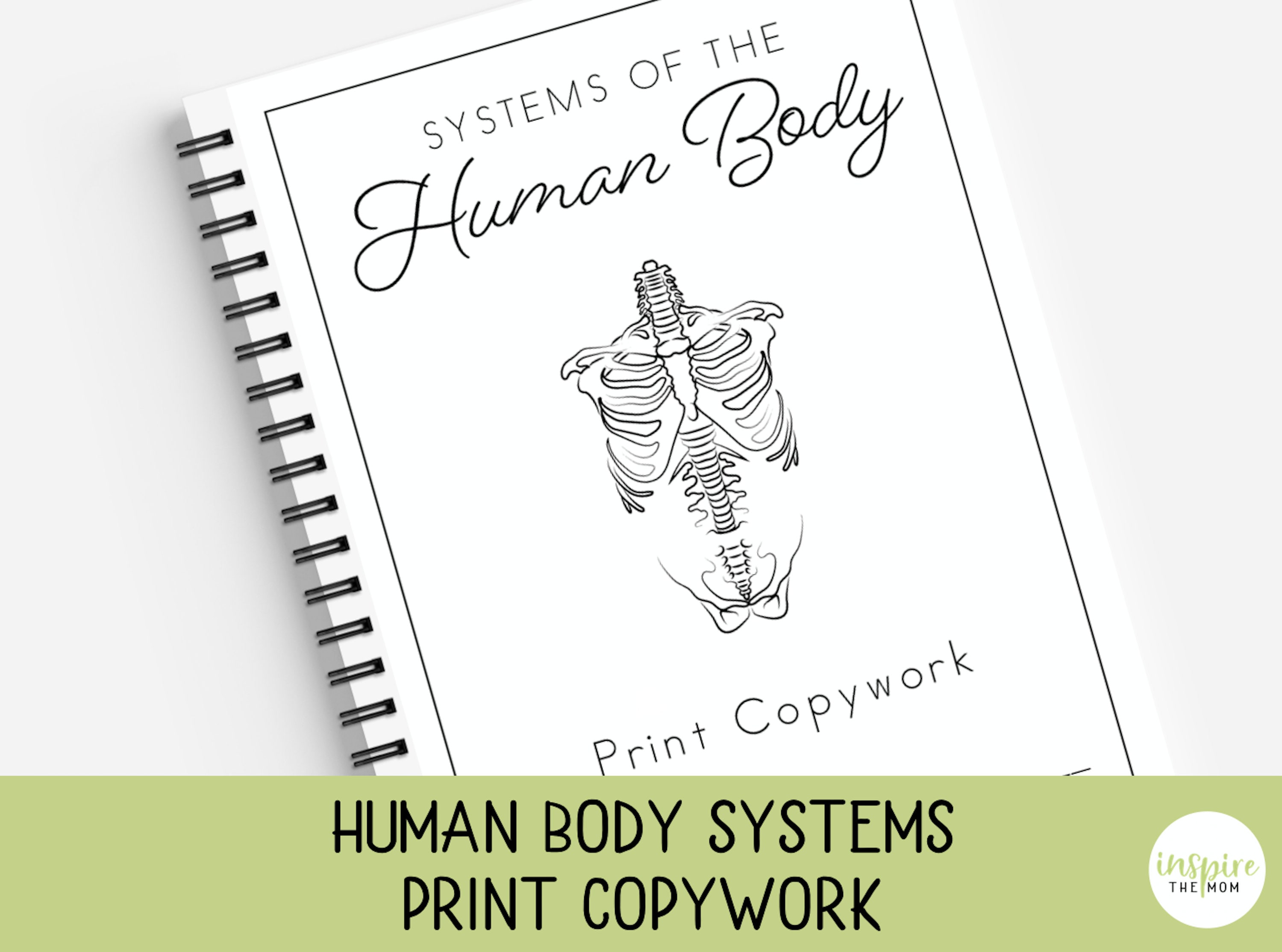 Human Body Systems, Print Copywork, Human Body Facts, Print Handwriting ...