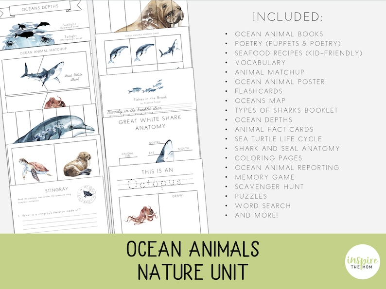 Ocean Animals Unit Study for Kids | Prek–2nd Science | Nature ...