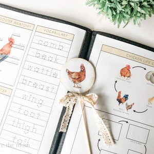 Complete 12 Months | Morning Menu Bundle | Charlotte Mason | Daily ...