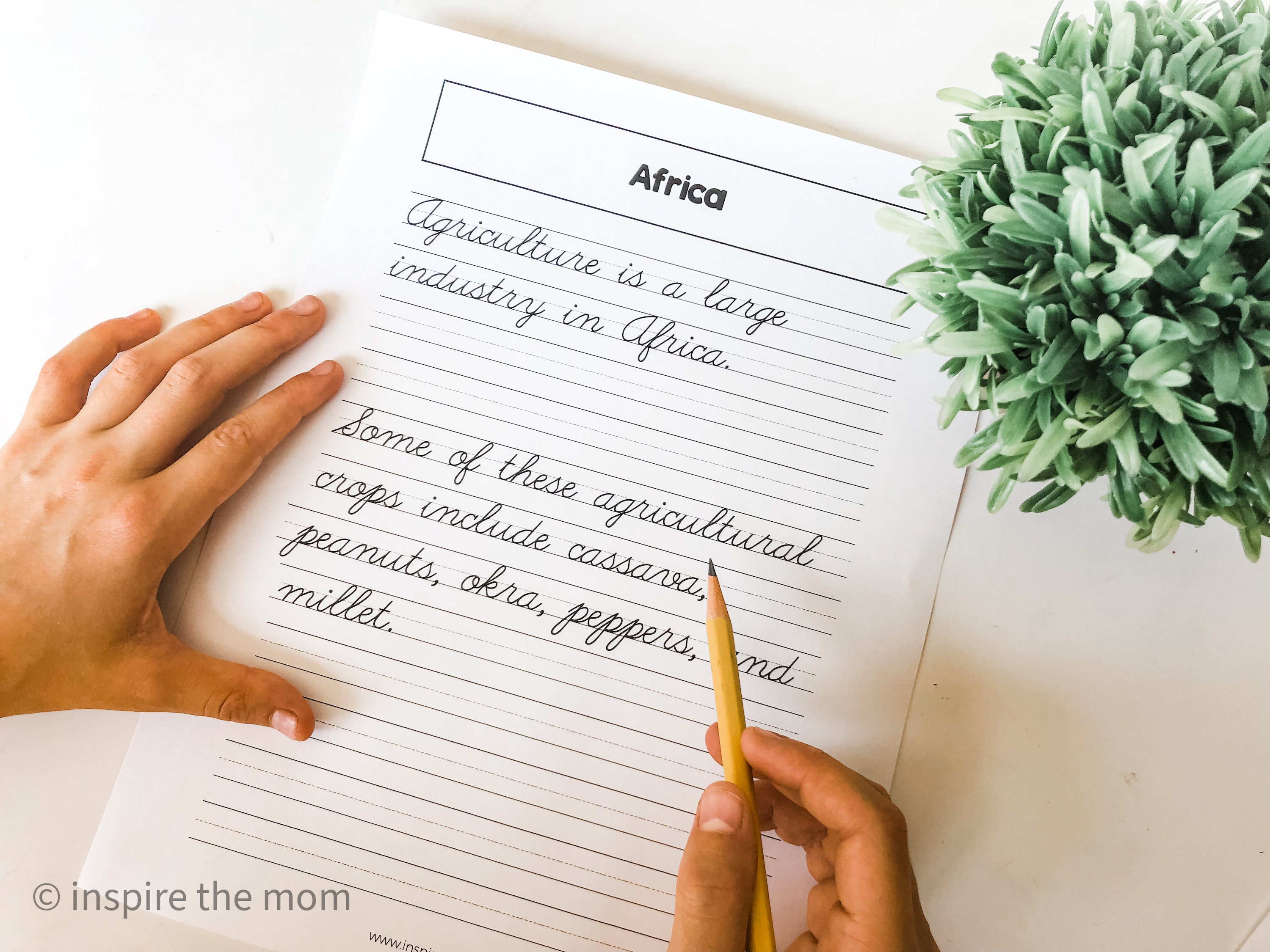 Continents of the World, Cursive Copywork, Continent Facts, Cursive ...