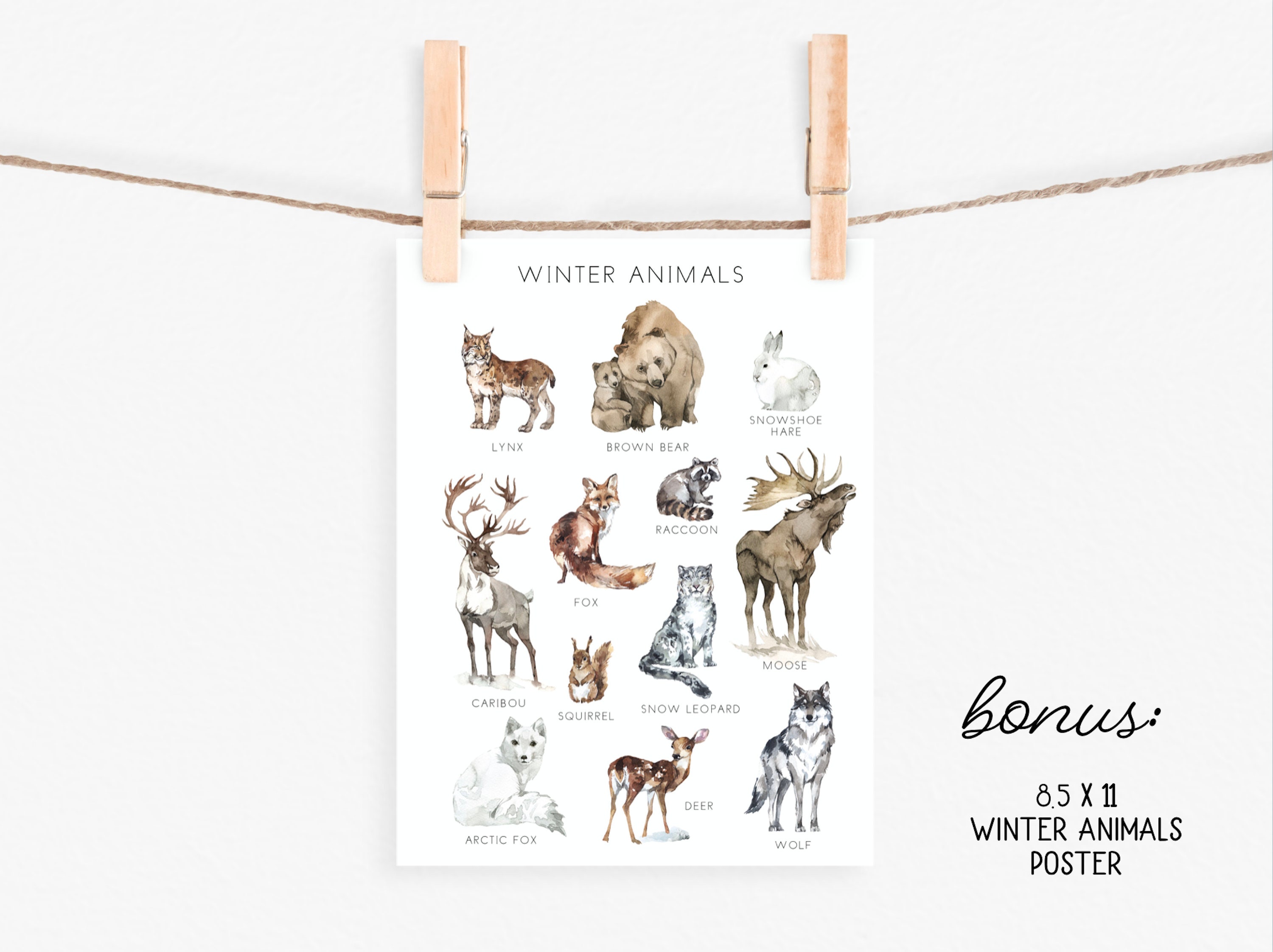 Winter Animals Flashcards, and Winter Animals Poster, Science Printable ...