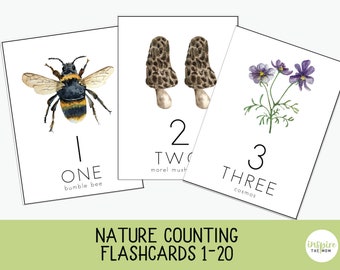 Nature Counting Flashcards, Preschool, Homeschool Printable, Charlotte ...