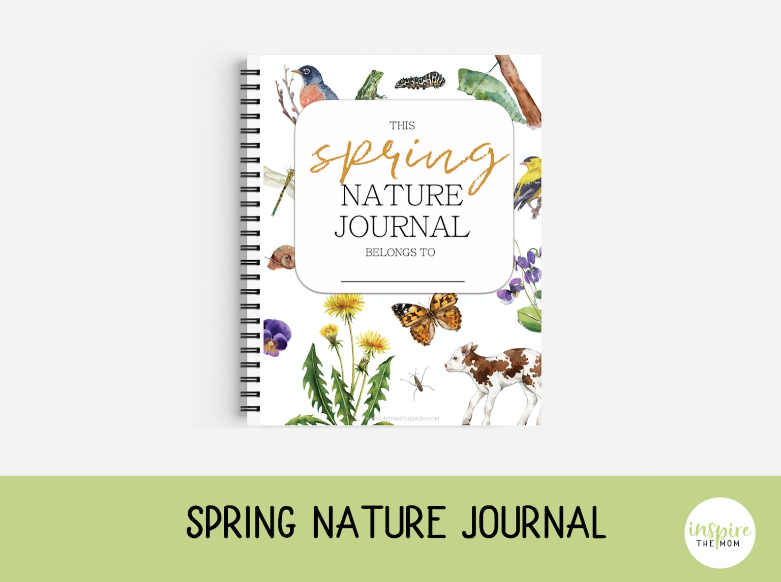 Spring Nature Journal for Kids, Nature Study, Science Curriculum ...