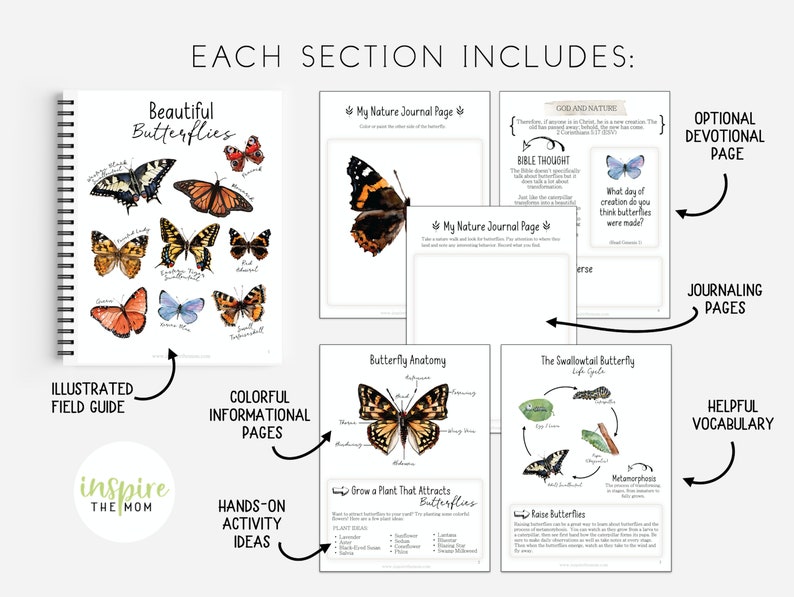 Spring Nature Journal for Kids, Nature Study, Science Curriculum ...