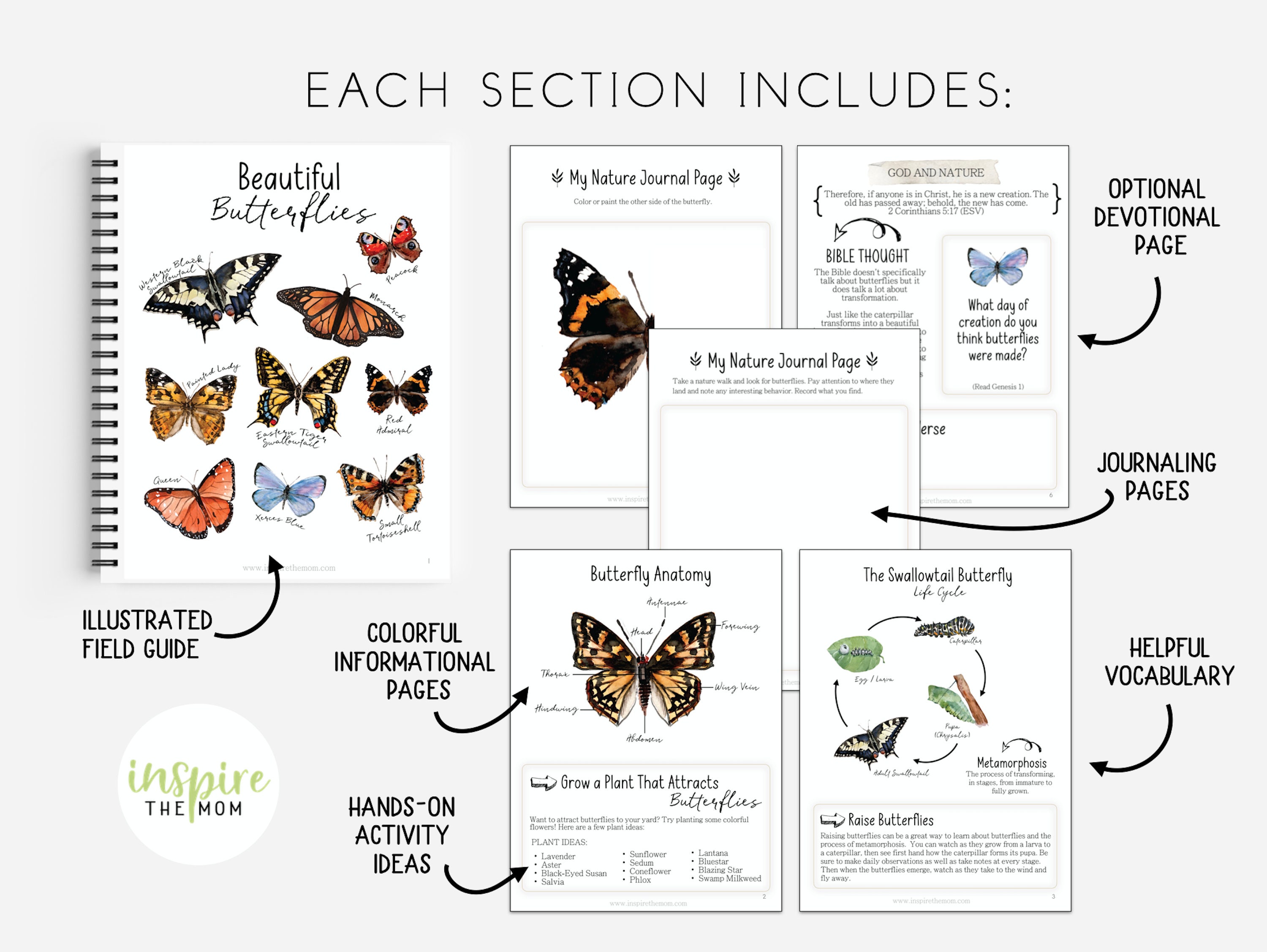 Spring Nature Journal for Kids, Nature Study, Science Curriculum ...