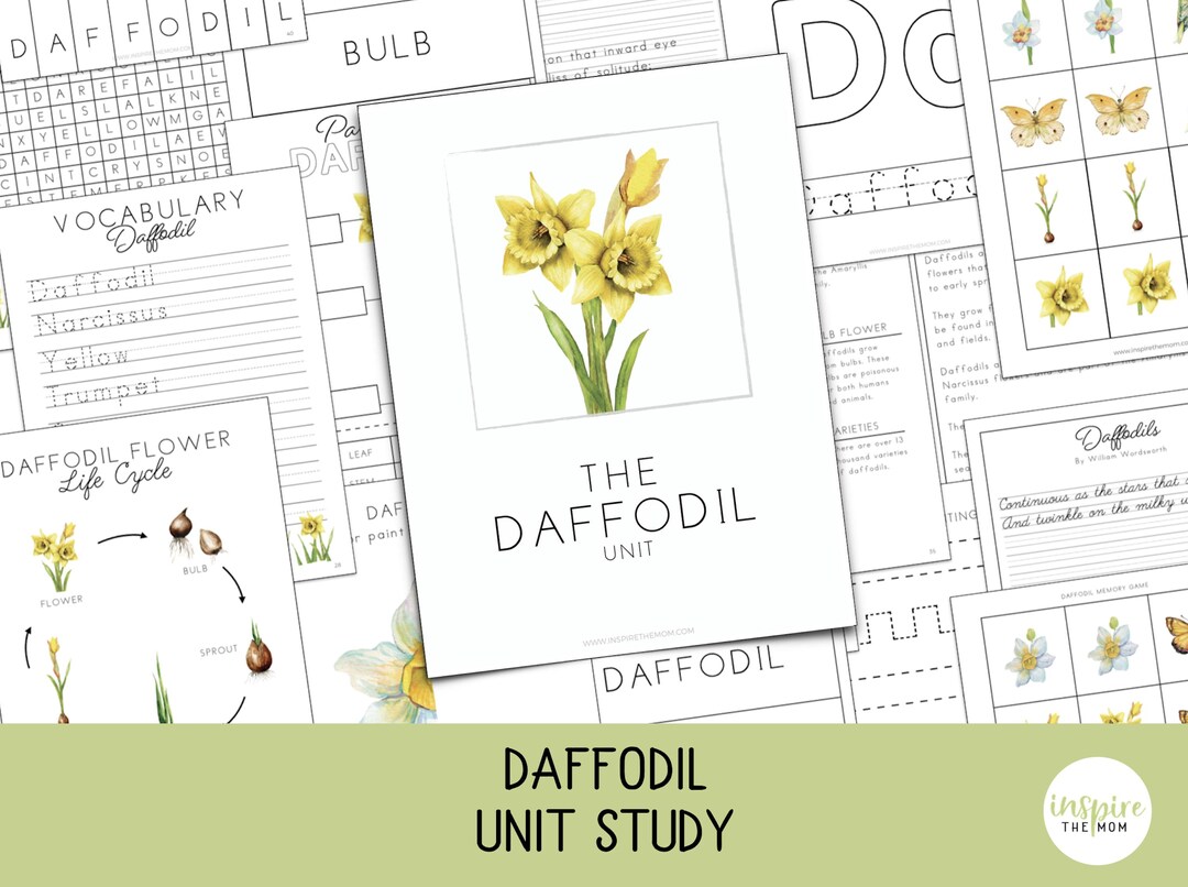 Daffodil Unit Study for Prek–4th Grade Kids | Spring Poetry & Nature ...