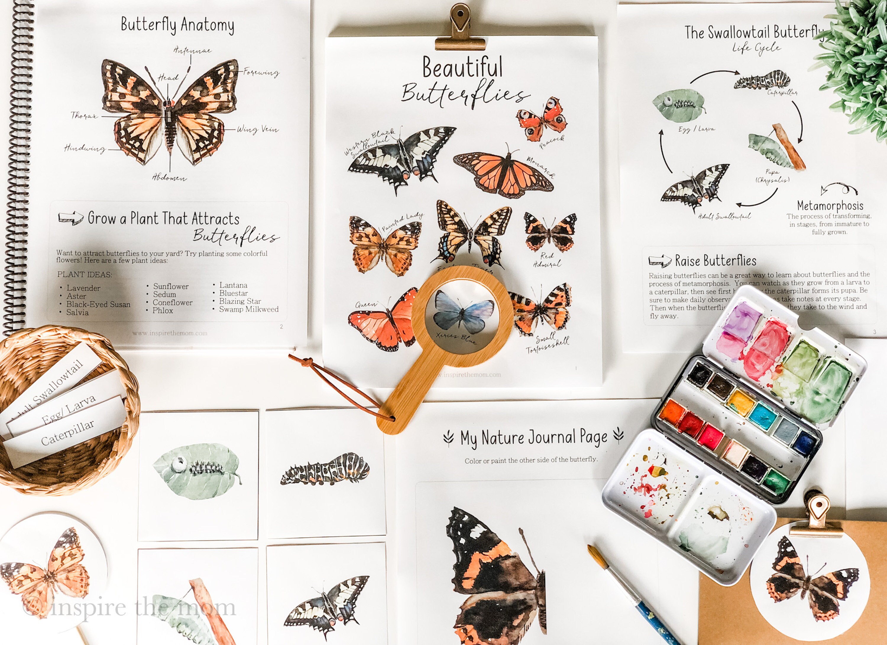 Spring Nature Journal for Kids, Nature Study, Science Curriculum ...