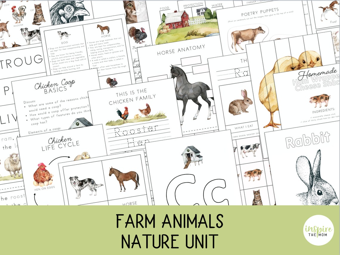 Farm Animal Unit BUNDLE Nature Study Math Language Arts - Etsy