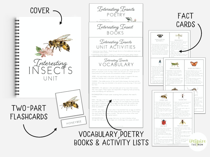 Insect Unit Study for Prek–2nd Kids | Bug Activities | Nature Study ...