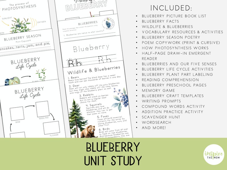 Blueberry Unit Study, Nature Study, Life Cycle, Prek - 3rd Grade ...