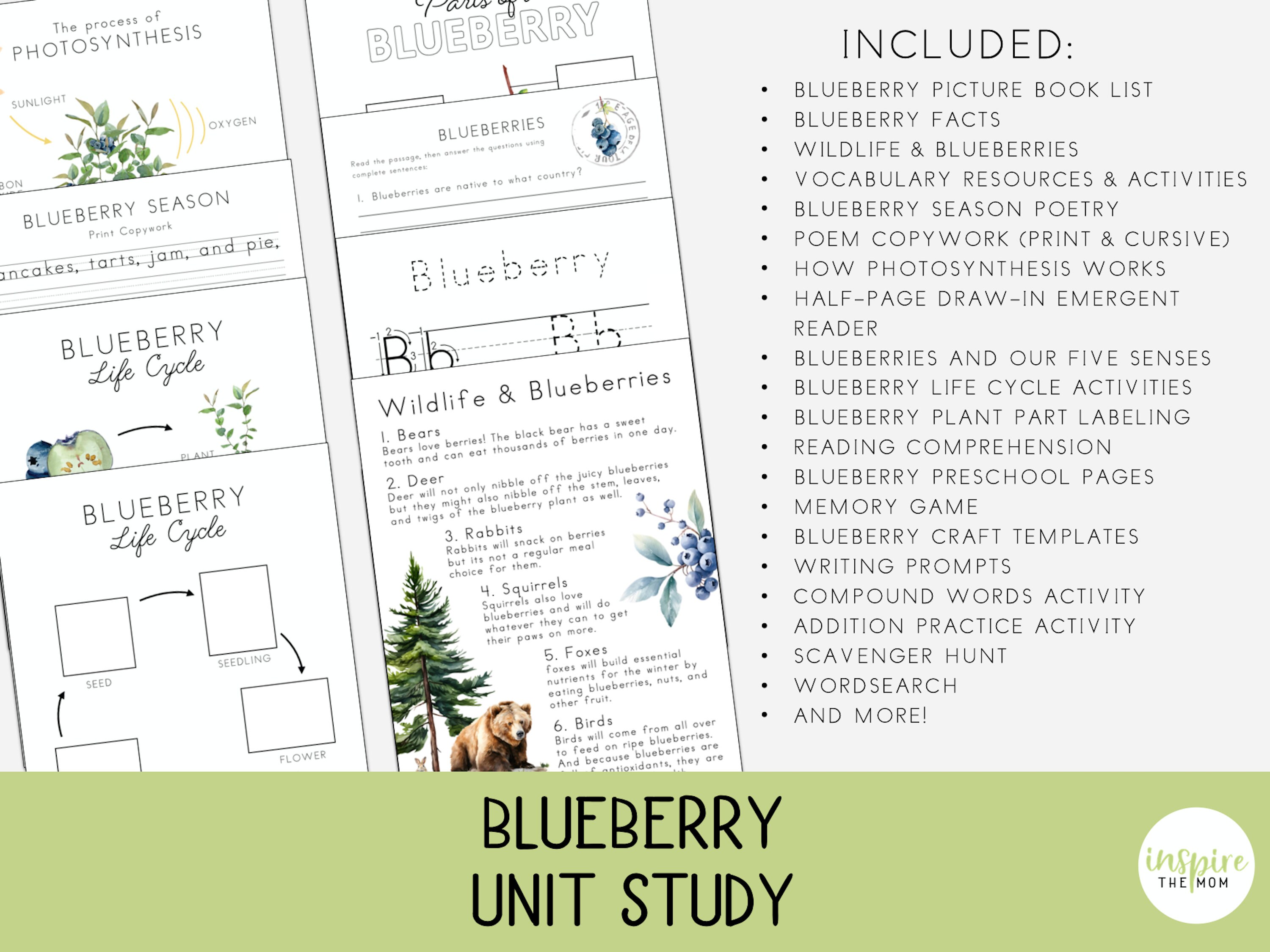 Blueberry Unit Study, Nature Study, Life Cycle, Prek - 3rd Grade ...